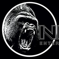NEA Entertainment